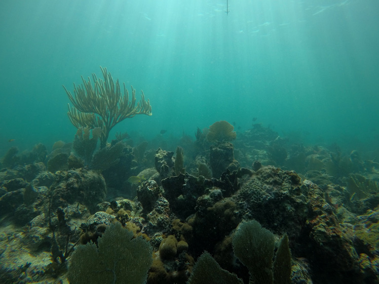 Fisheries & Marine Project References | Archipelago