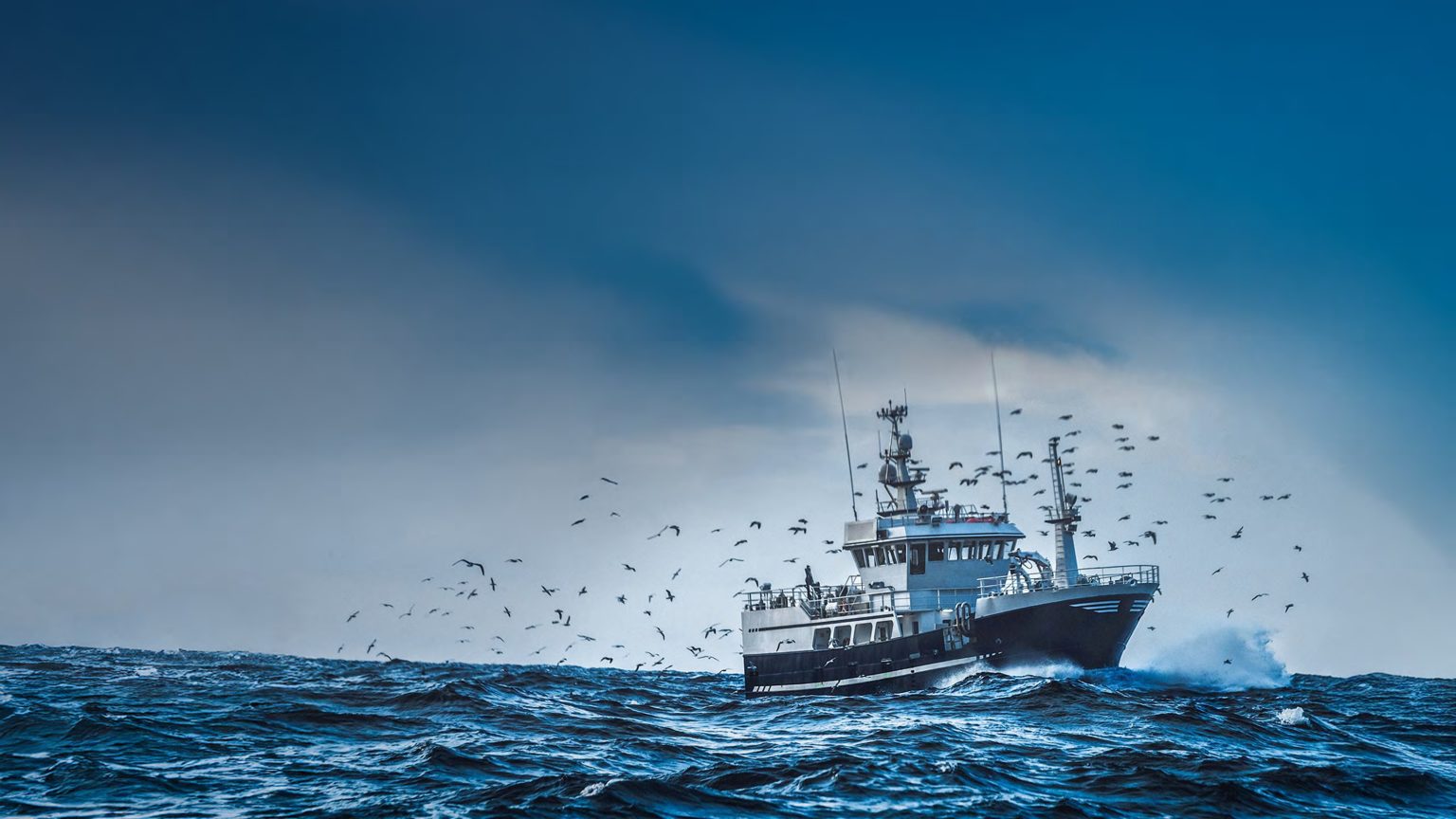 Prince Rupert Marine Habitat Restoration Plan - Archipelago