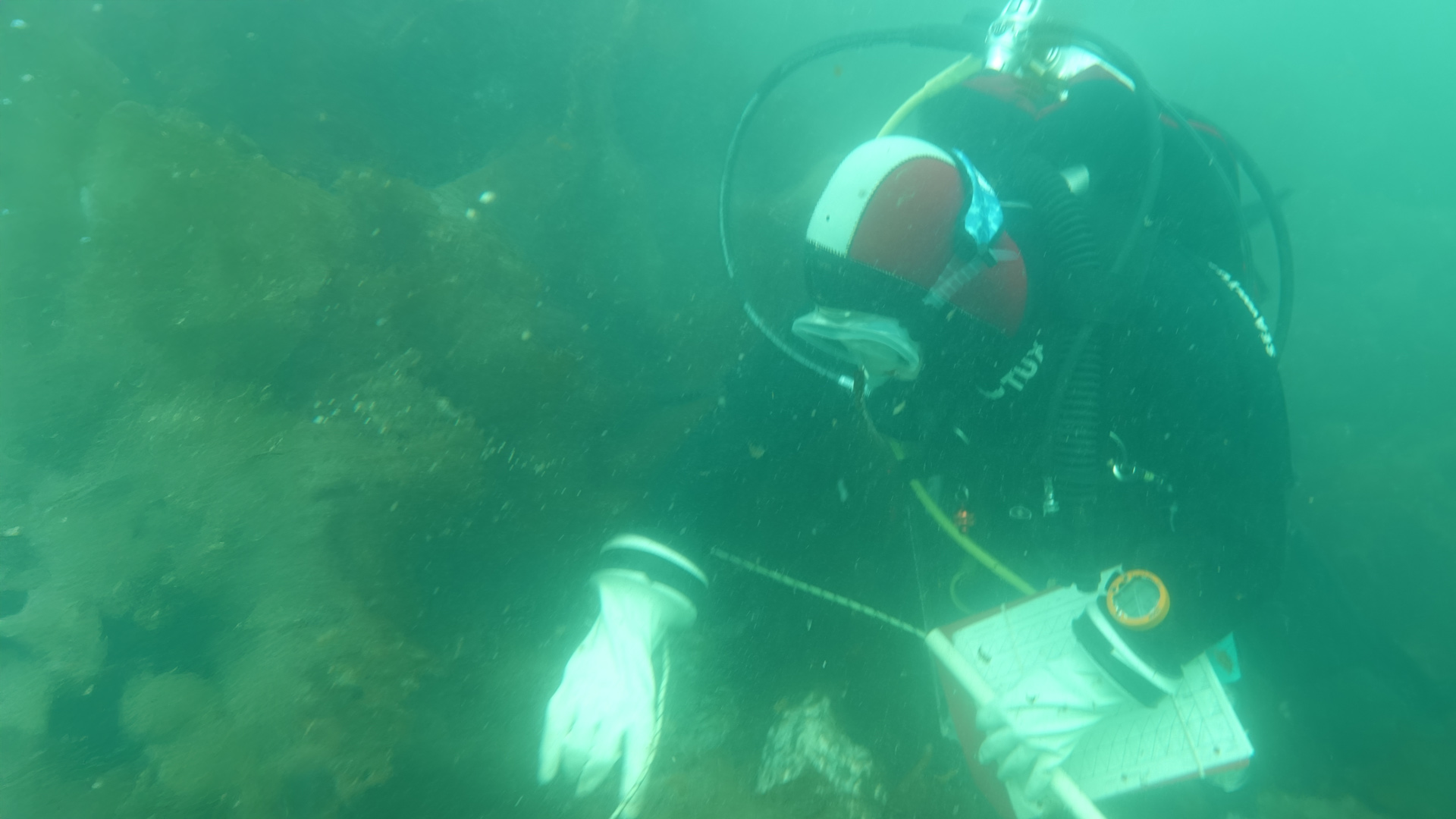 Scientific Diving Services for Marine Research | Archipelago